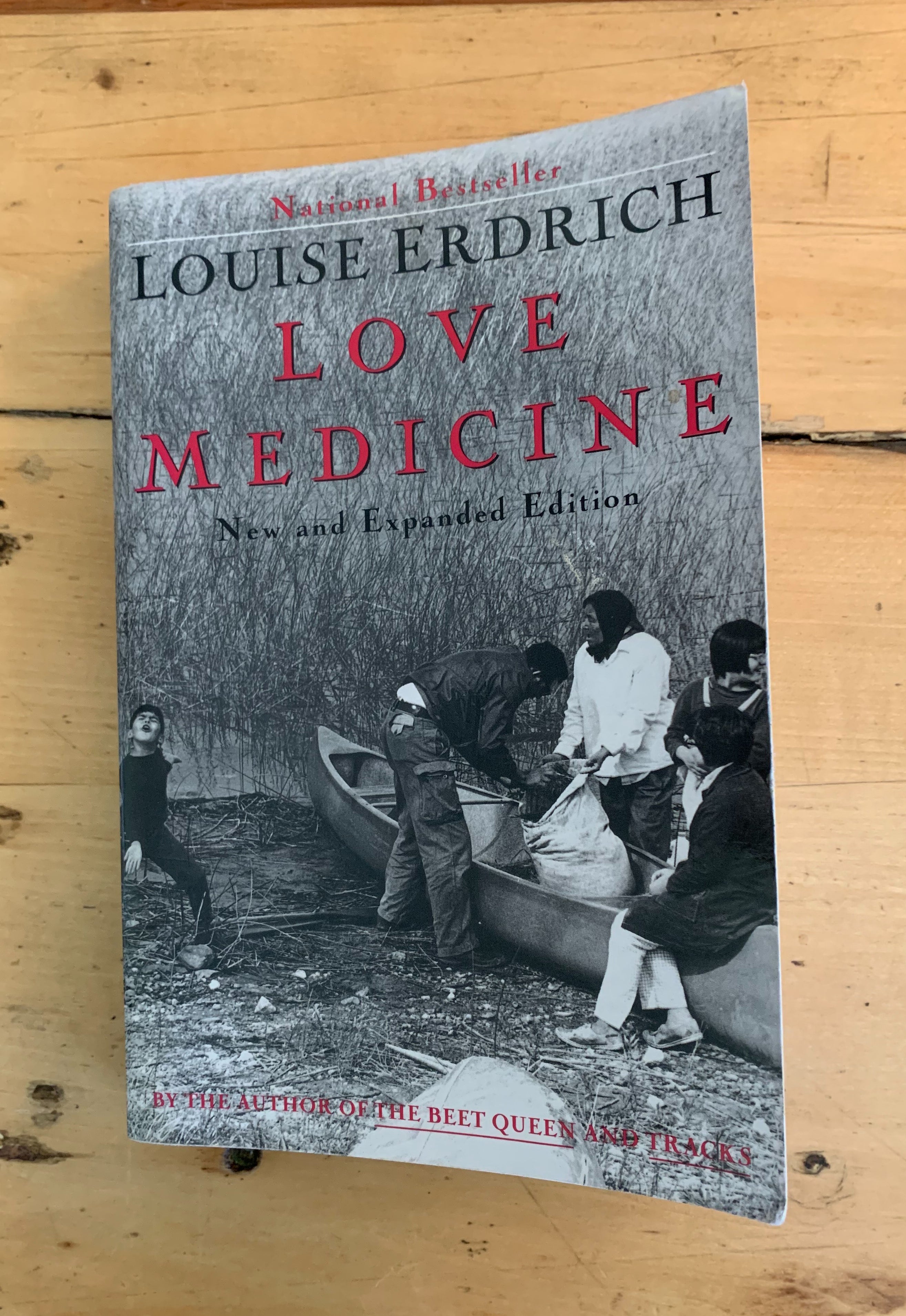 Love Medicine by Louise Erdrich – Wilde Heart Books