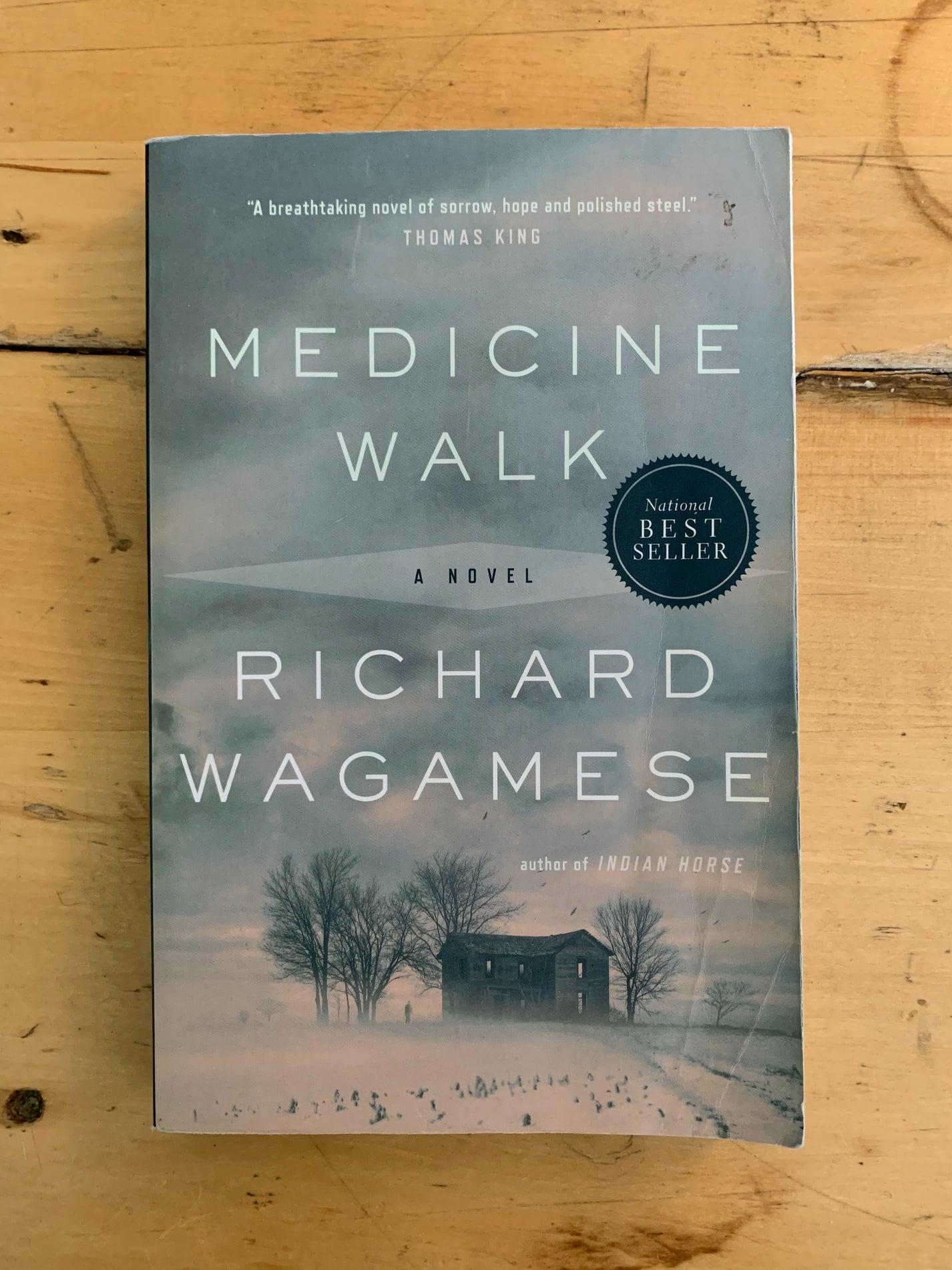 Medicine Walk by Richard Wagamese – Wilde Heart Books